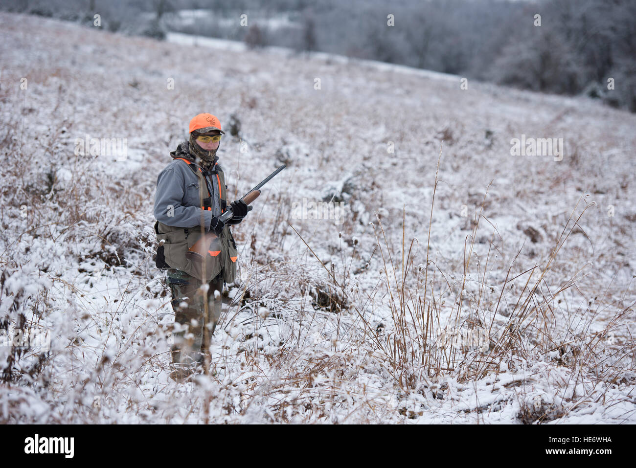 Quail Hunter in the snow Stock Photo - Alamy