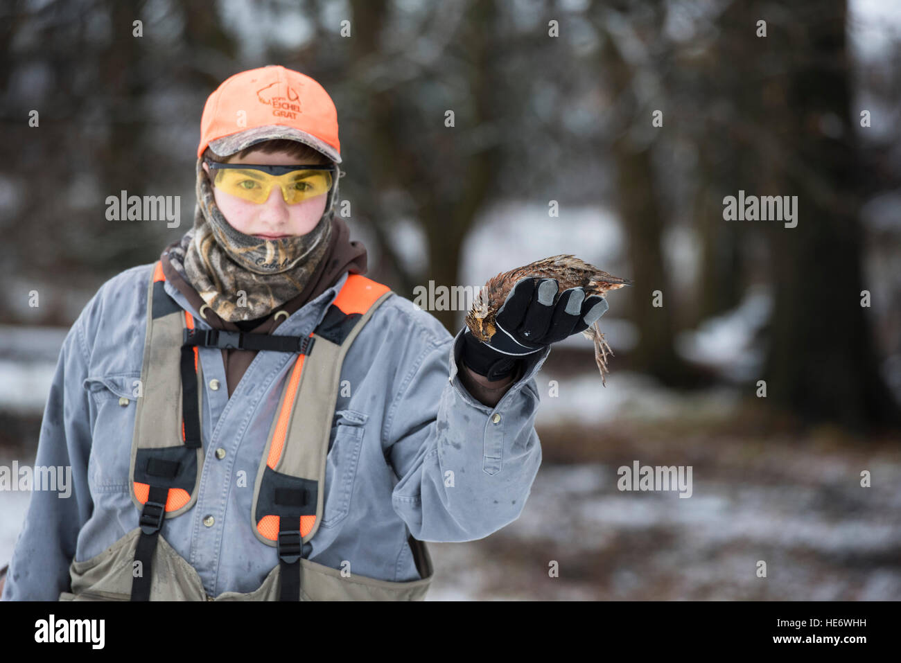 A hunter with a Bobwhite Quail Stock Photo - Alamy