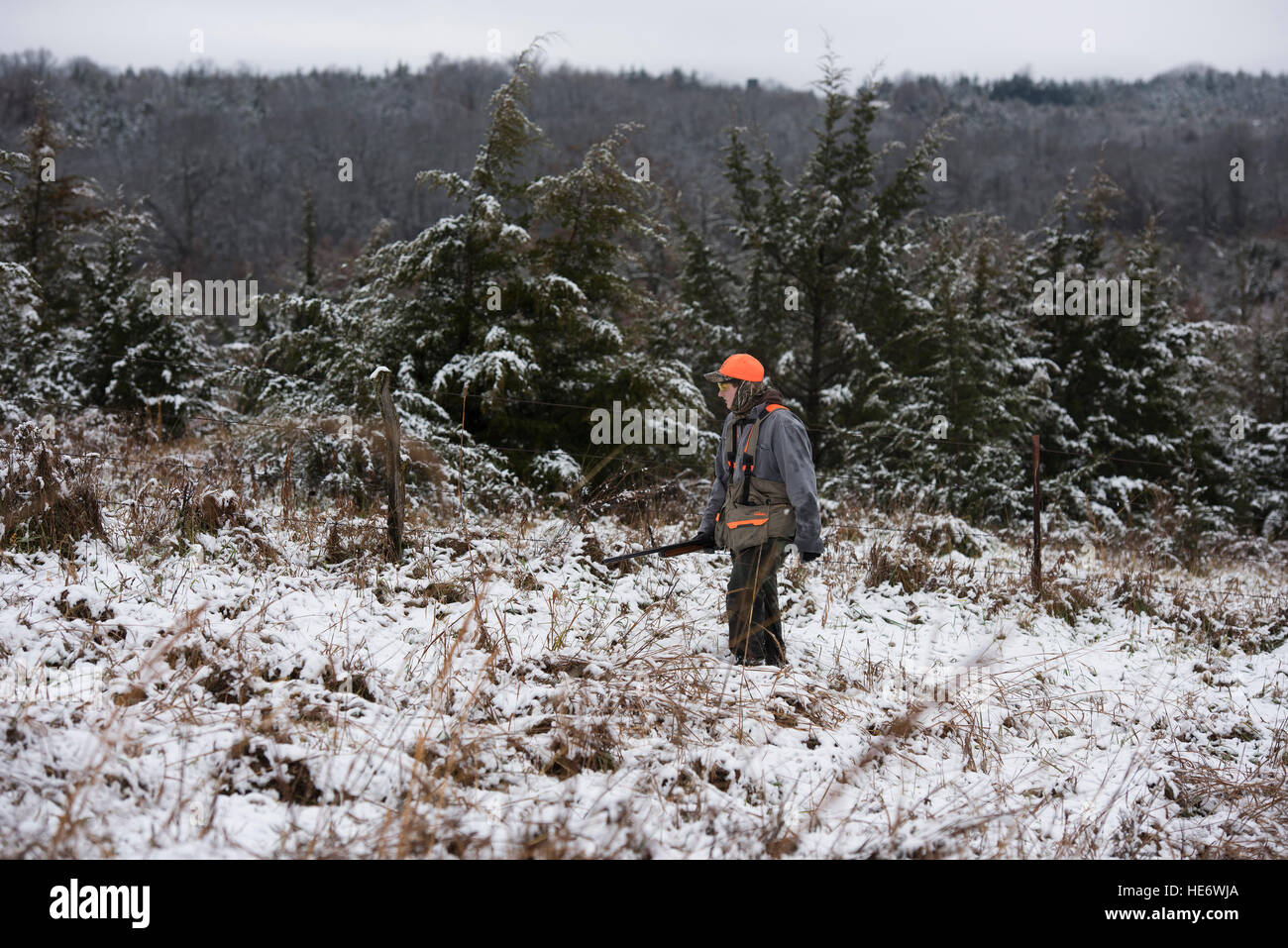 Young hunter out Pheasant Hunting Stock Photo - Alamy