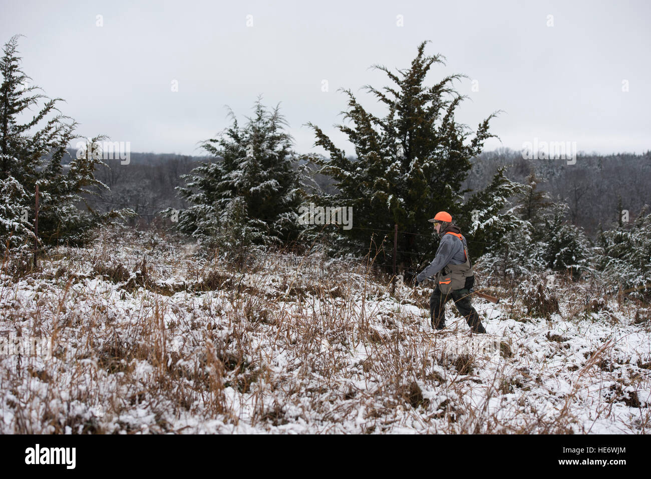Young hunter out Pheasant Hunting Stock Photo - Alamy