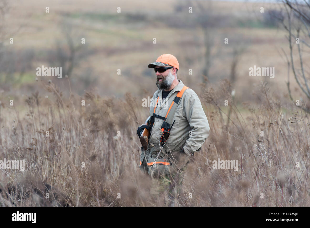 A bird hunter on a nice autumn day Stock Photo - Alamy