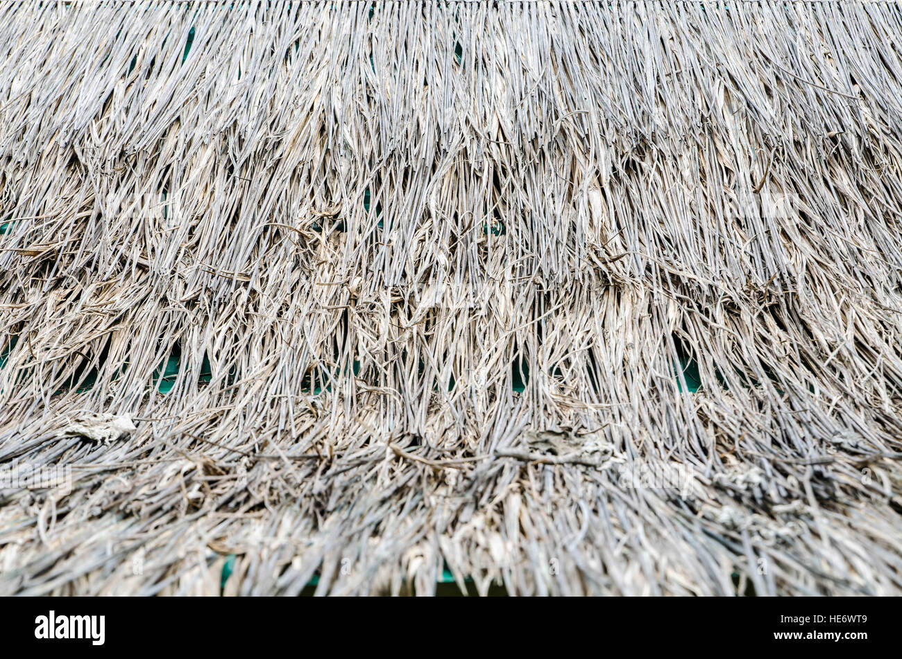 Grass thatch roof hi-res stock photography and images - Alamy