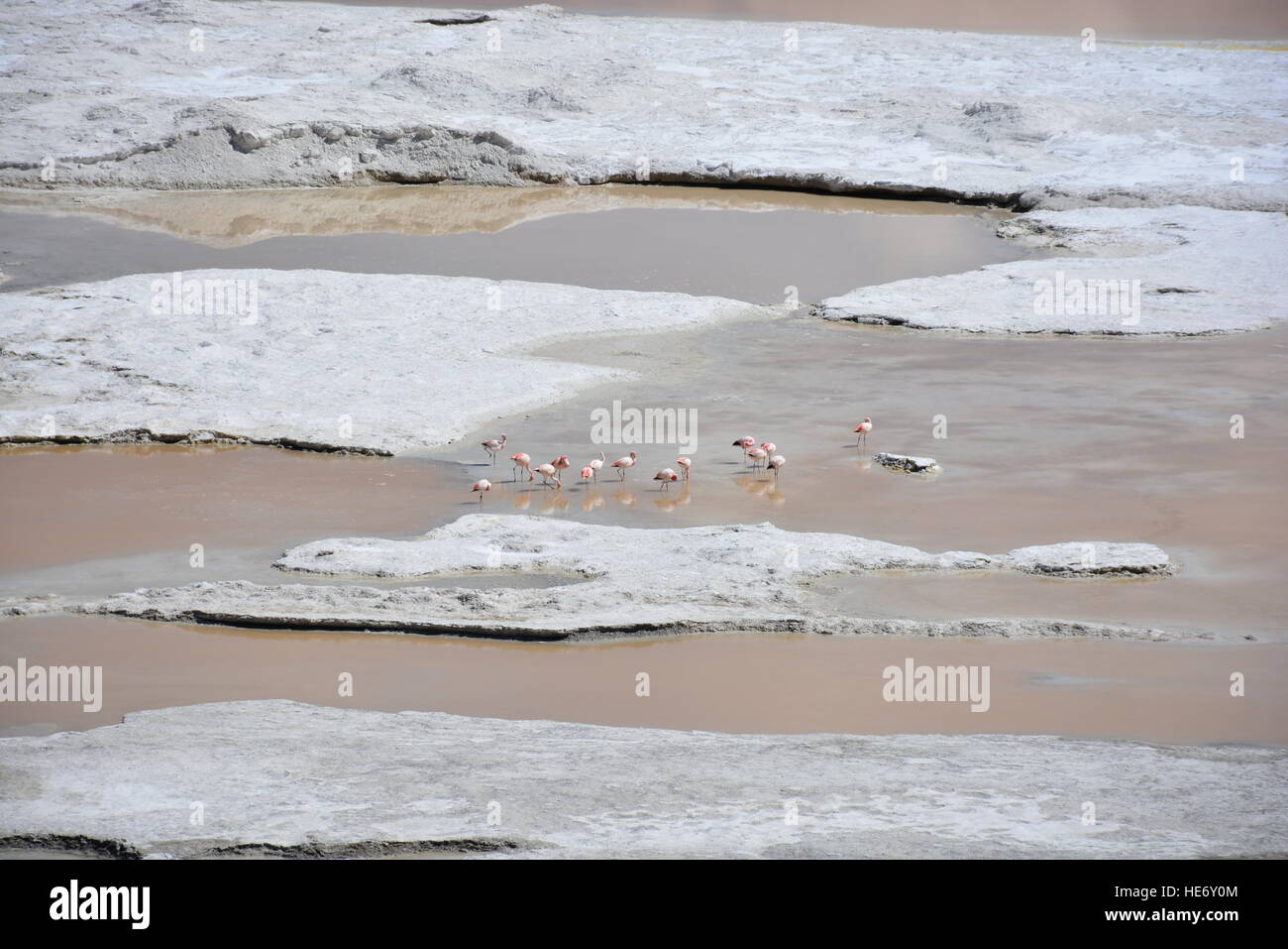 Landscape of salt flats and valley in Atacama desert Chile Stock Photo ...