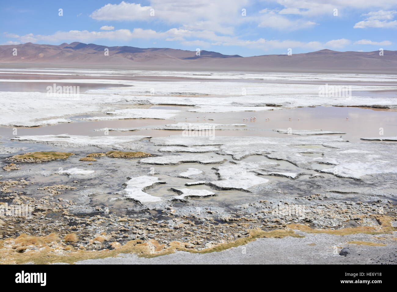 Landscape of salt flats and valley in Atacama desert Chile Stock Photo ...