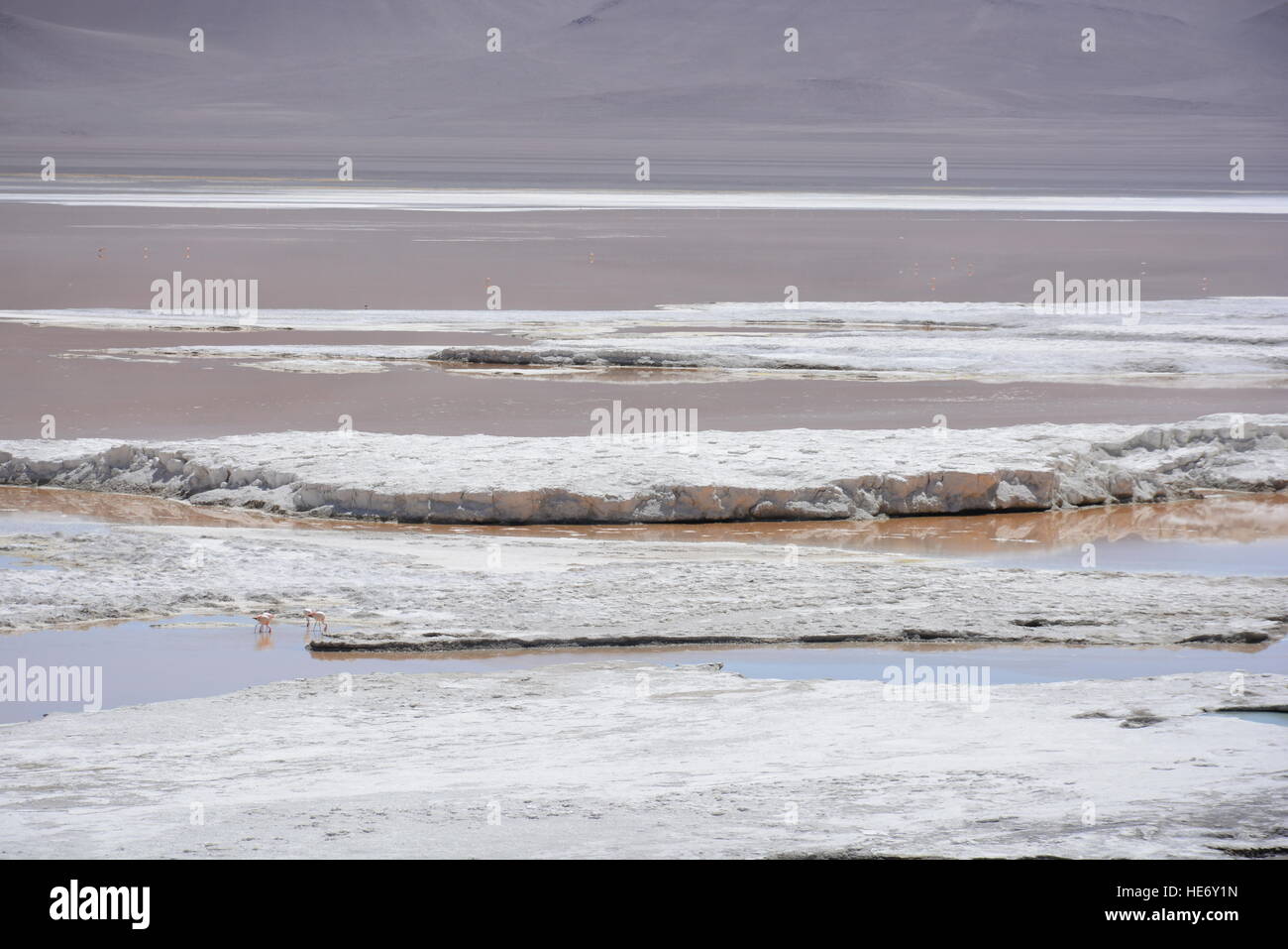 Landscape of salt flats and valley in Atacama desert Chile Stock Photo ...