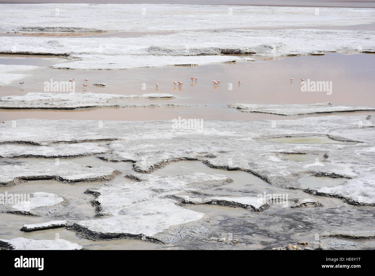 Landscape of salt flats and valley in Atacama desert Chile Stock Photo ...