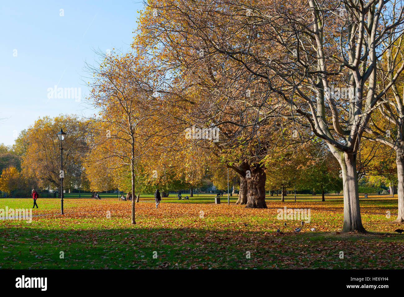 Eel brook common hi-res stock photography and images - Alamy