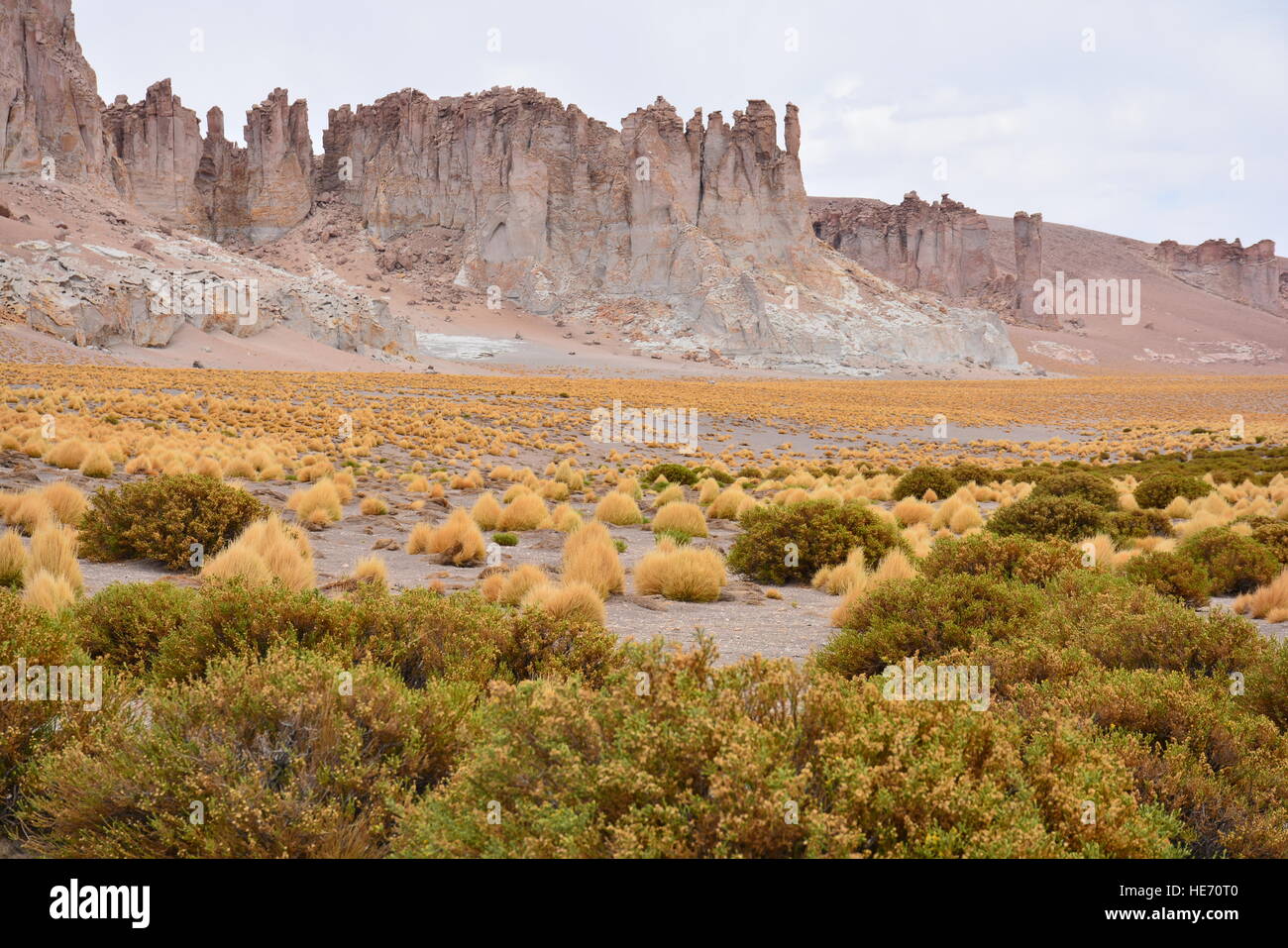 Landscape of mountains or valley in Atacama desert Chile Stock Photo ...