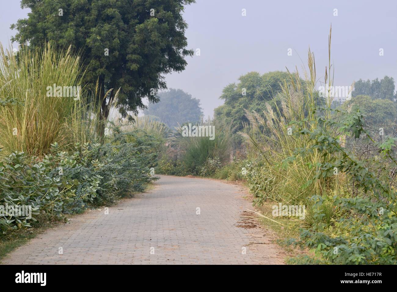 Village pathway hi-res stock photography and images - Alamy