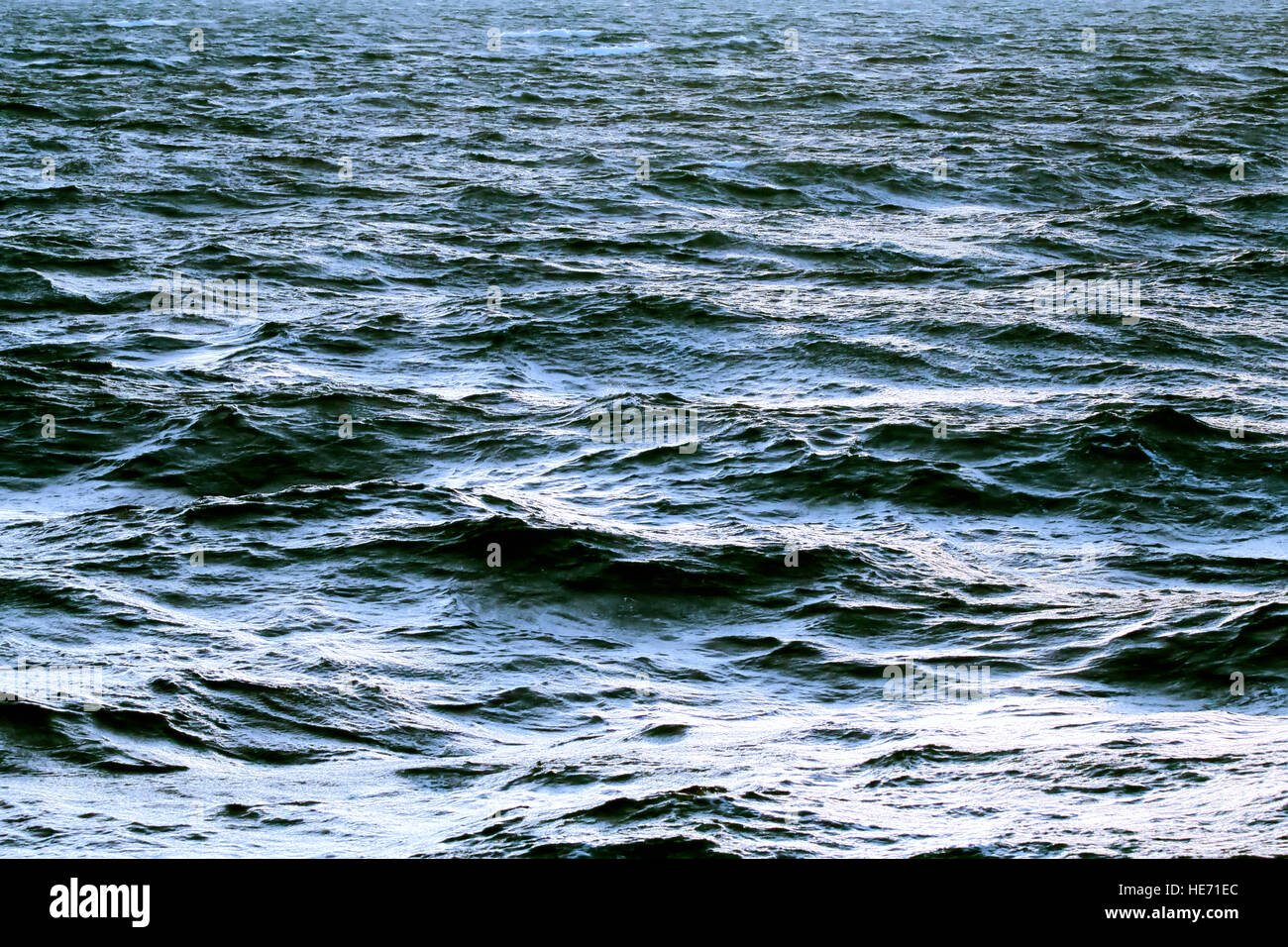 Kara sea (basin of Arctic ocean) in high Arctic (Novaya Zemlya ...