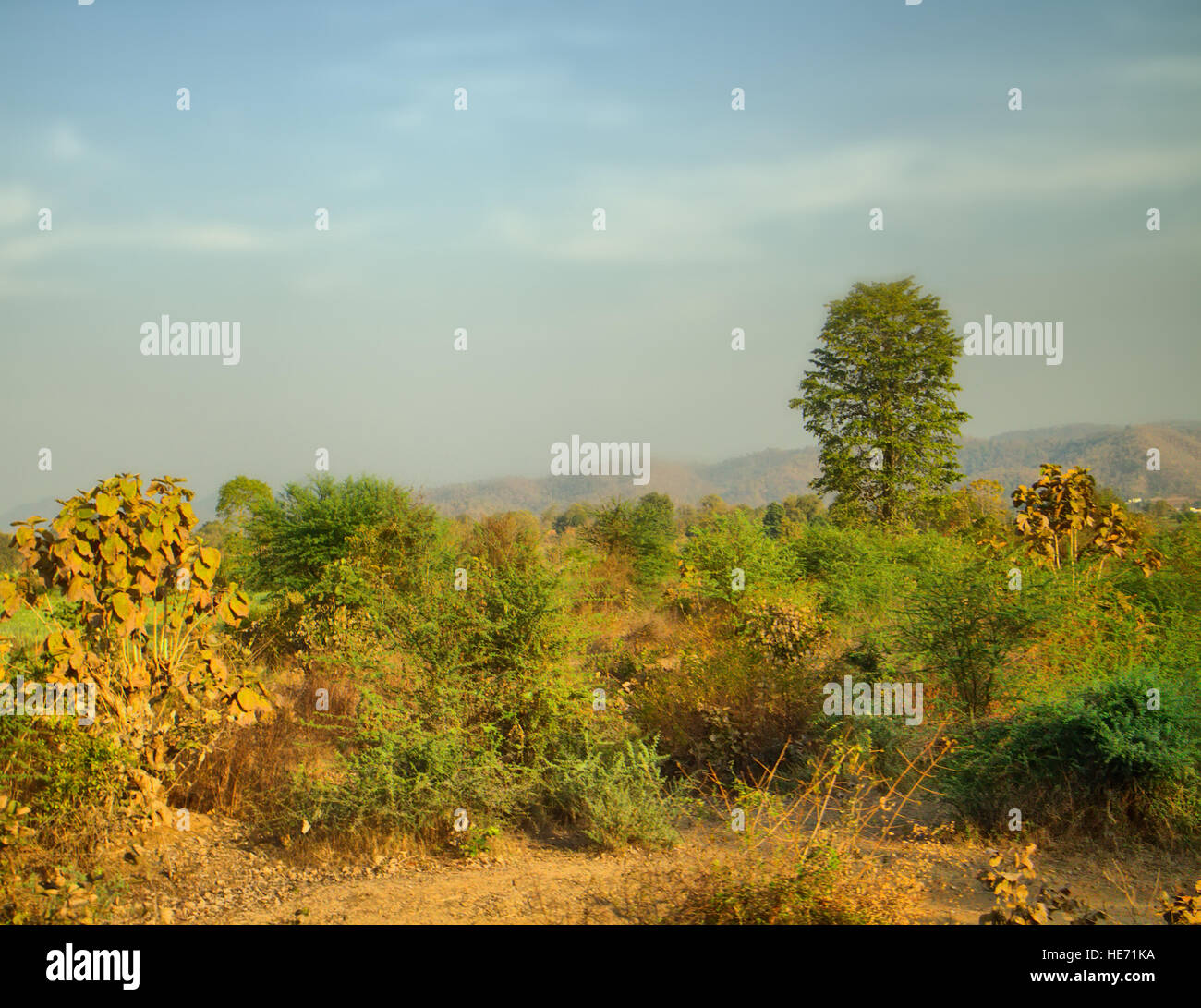 Verdant landscape. Green hills at entrance to plateau Deccan, India ...