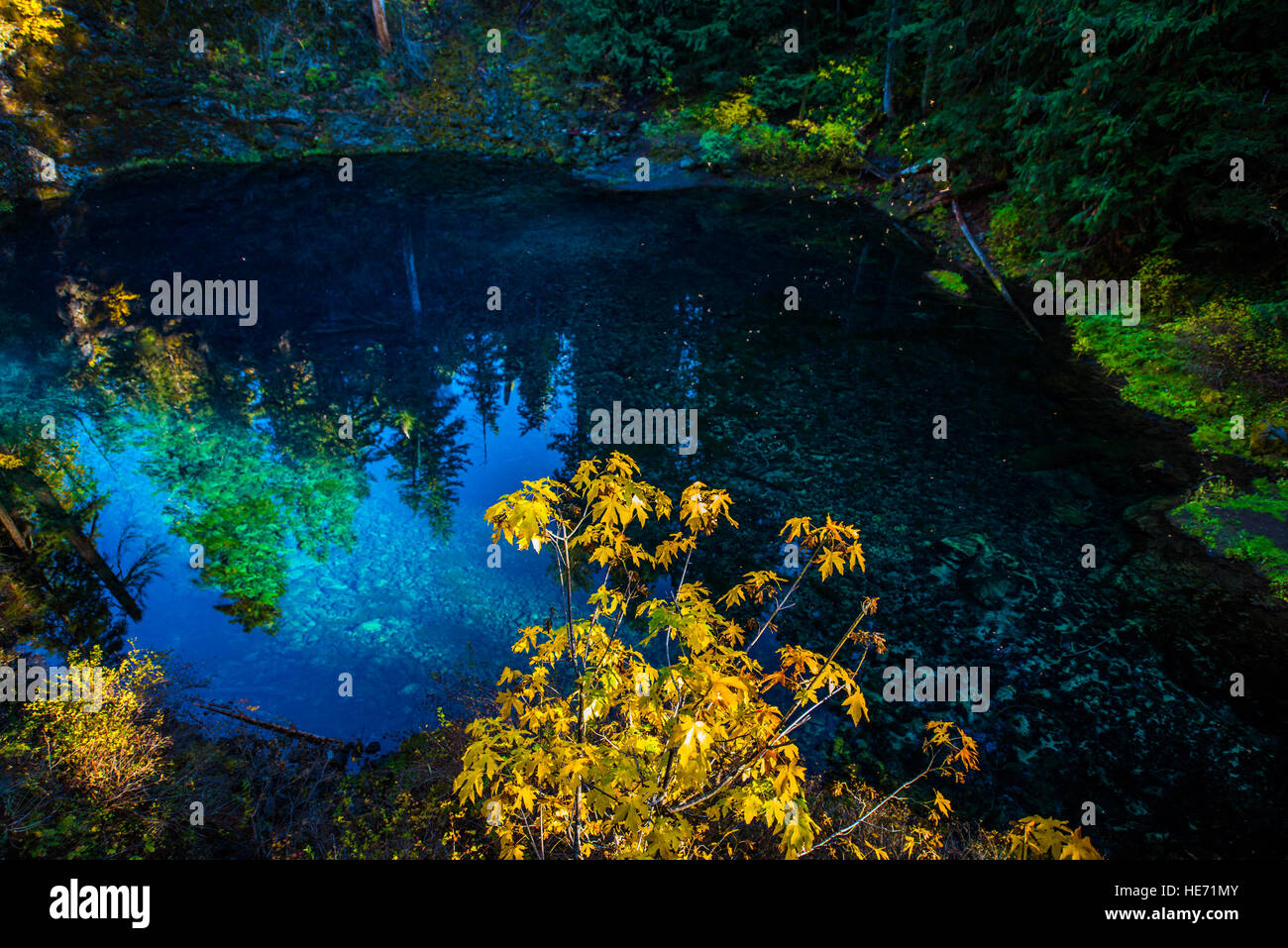 Tamolitch Blue Pool McKenzie River Oregon Cascade Mountain Range Stock ...