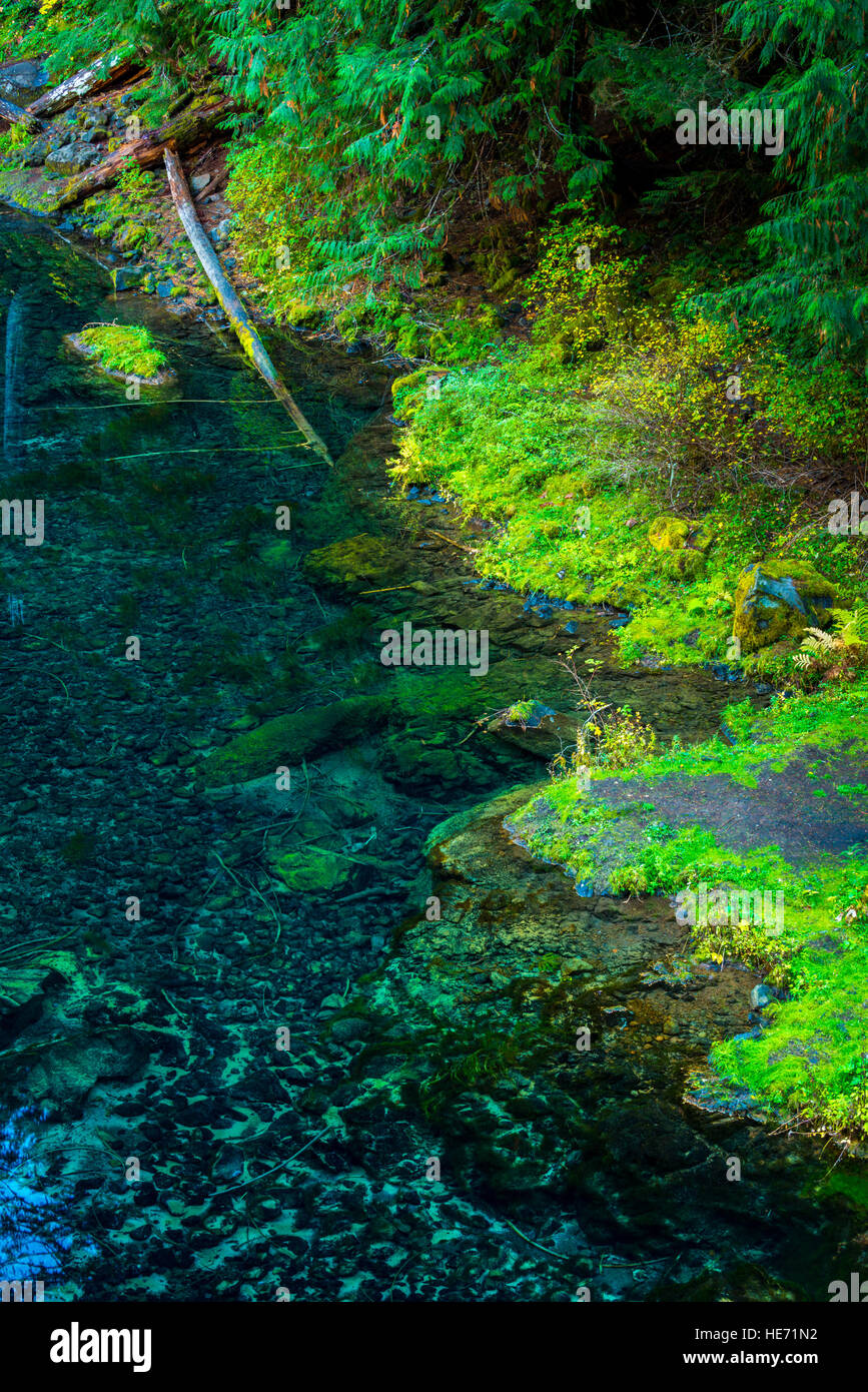 Tamolitch Blue Pool McKenzie River Oregon Cascade Mountain Range Stock ...