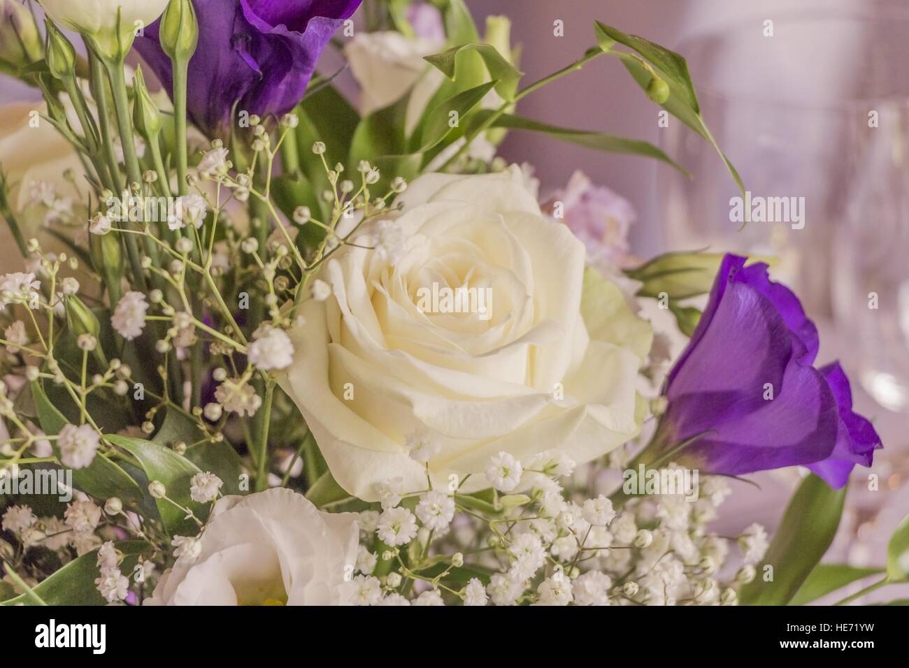 Class roses hi-res stock photography and images - Alamy