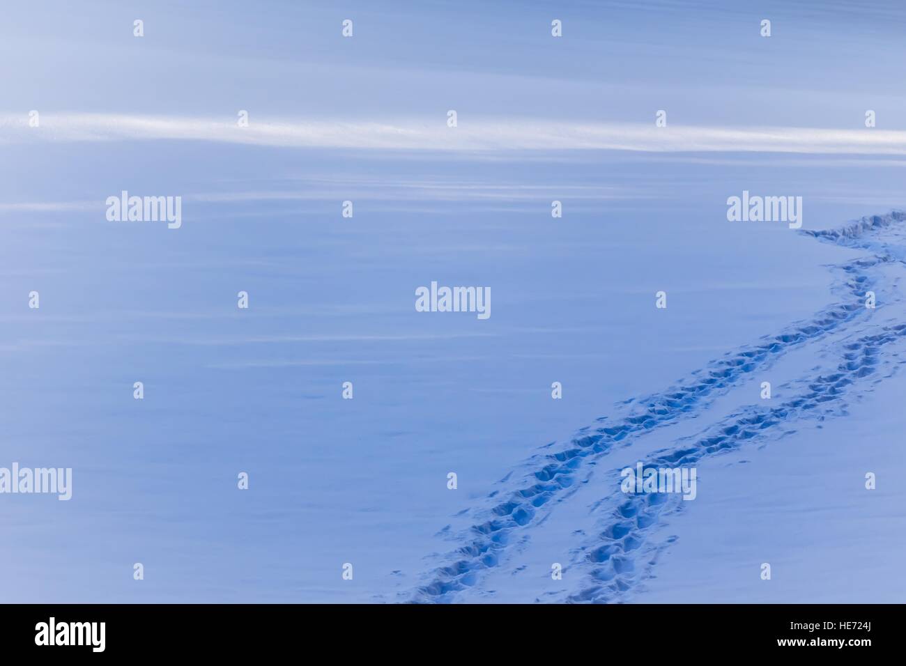 Snow path with footsteps in winter. Two snow-covered paths. Side by ...