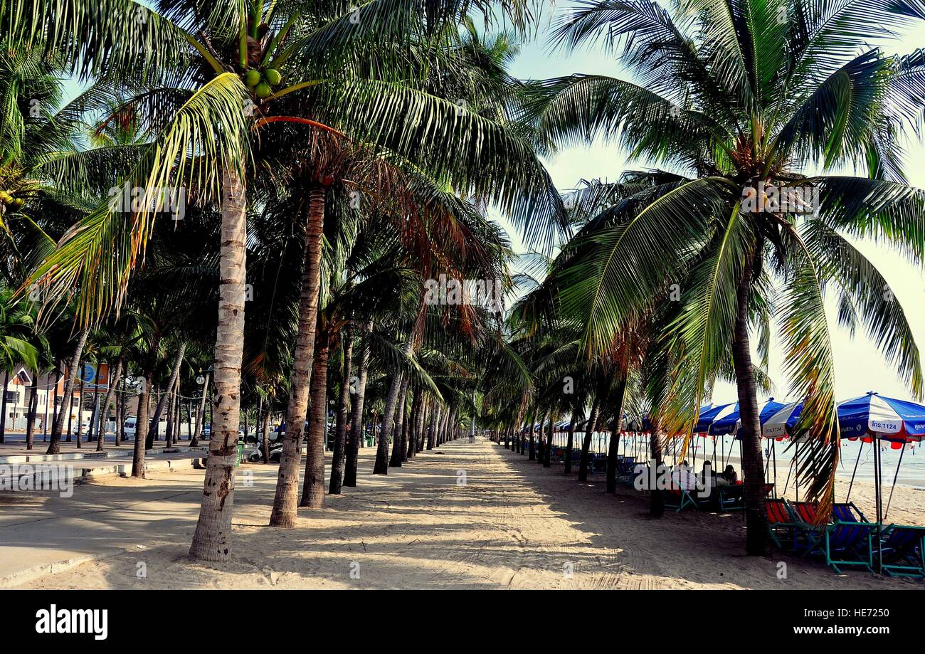 Bang Saen, Thailand - January 7, 2014: View along the beach and ...