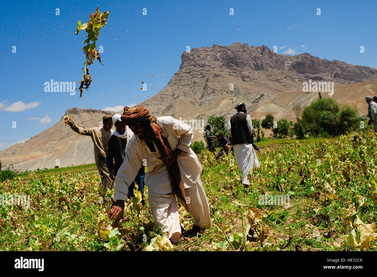 Us military rule hi-res stock photography and images - Alamy