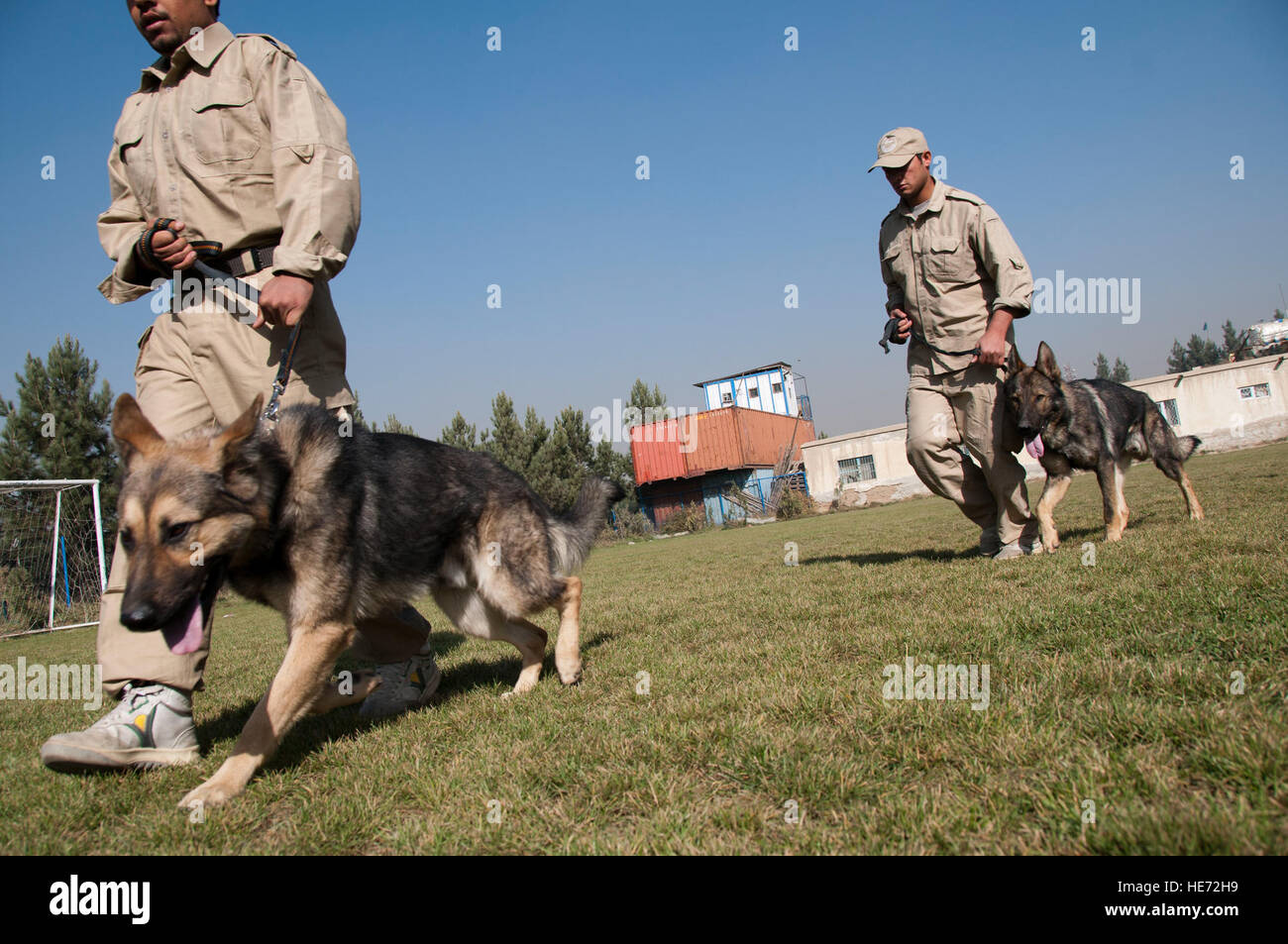Border force officers process hi-res stock photography and images - Alamy