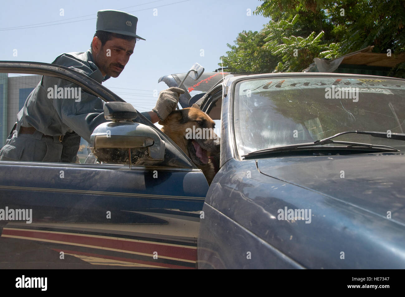 An Afghan National Police officer and military working dog inspect a ...