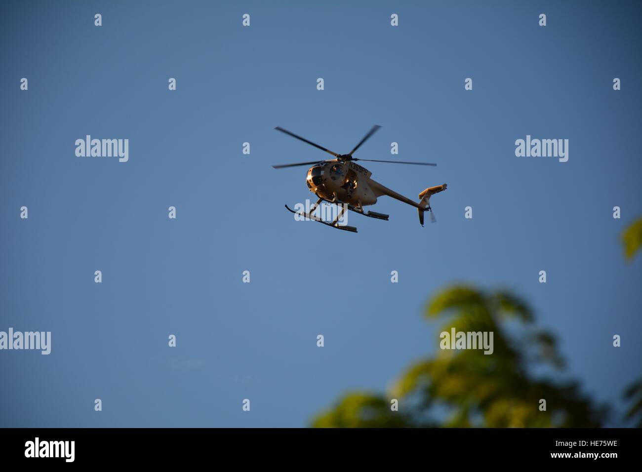 Helicopter flying with faded tree leaves on the bottom Stock Photo - Alamy