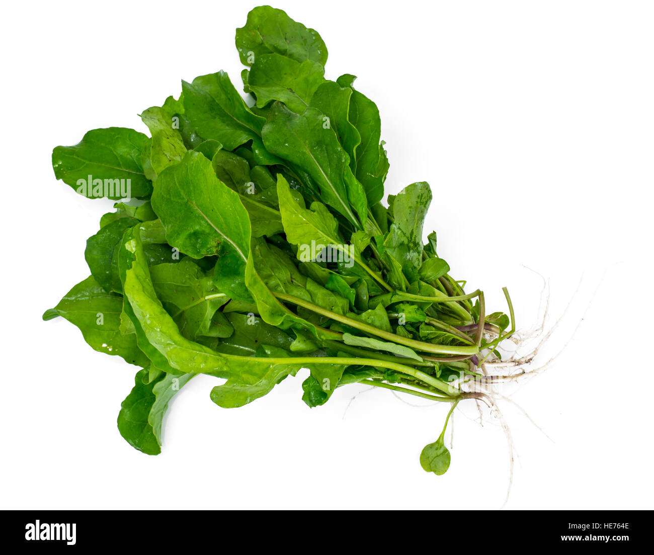 Fresh Green Arugula Stock Photo - Alamy