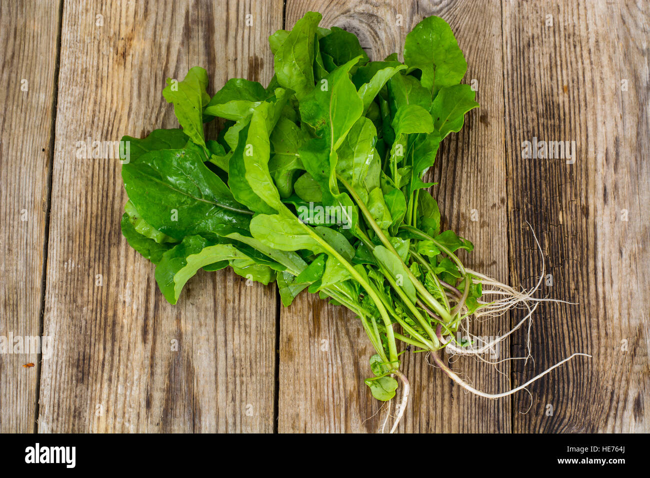 Fresh Green Arugula Stock Photo - Alamy