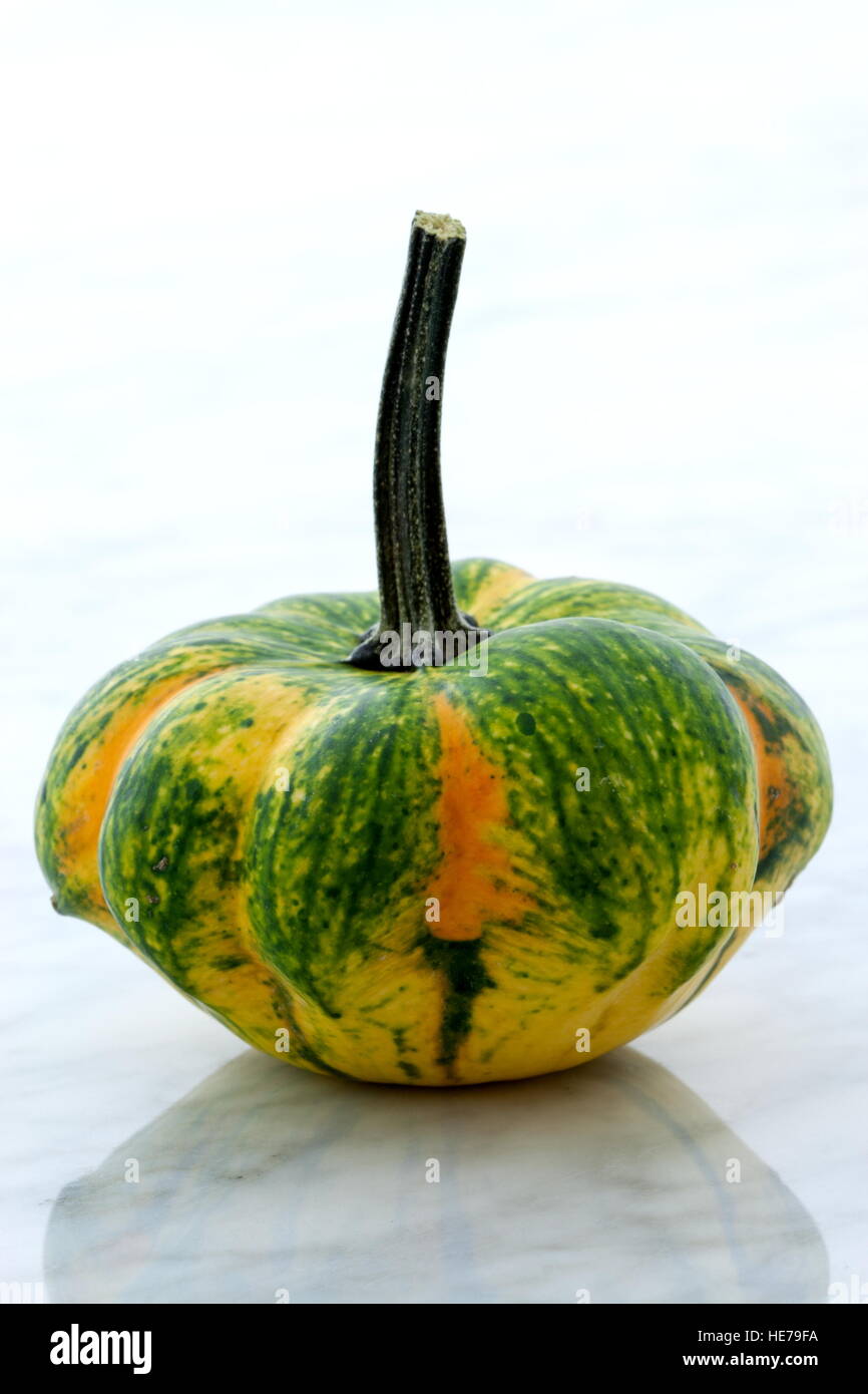 Beautiful organic pumpkin or summer squash on carrara marble countertop ...