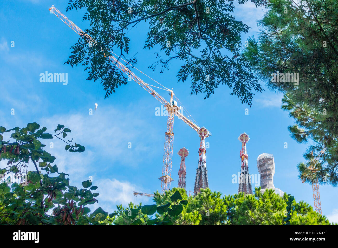 View through the tree tops of the towers and construction cranes of the ...