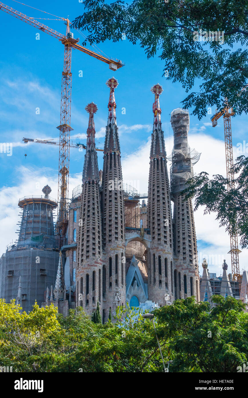 View through the tree tops of the towers and construction cranes of the ...