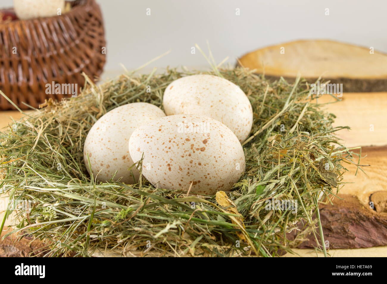 Turkey egg hi-res stock photography and images - Alamy