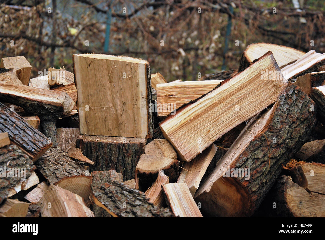 Oak: logs of cut wood for fireplace Stock Photo - Alamy