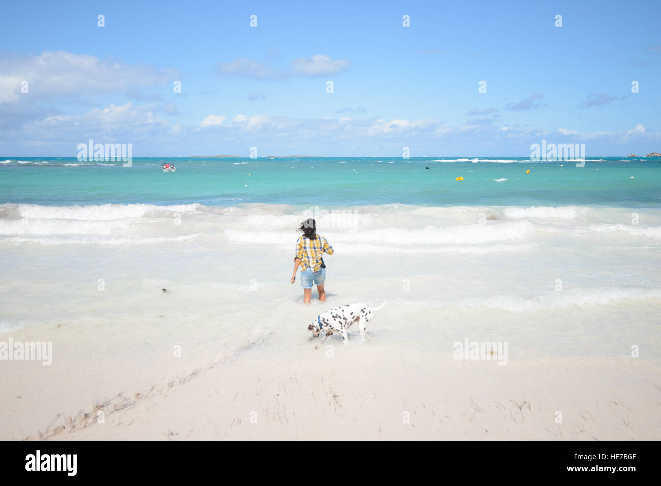 Perth dog beach hi-res stock photography and images - Alamy