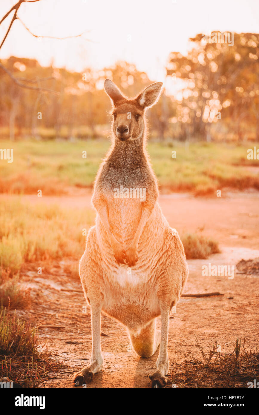 Perth heirisson island hi-res stock photography and images - Alamy