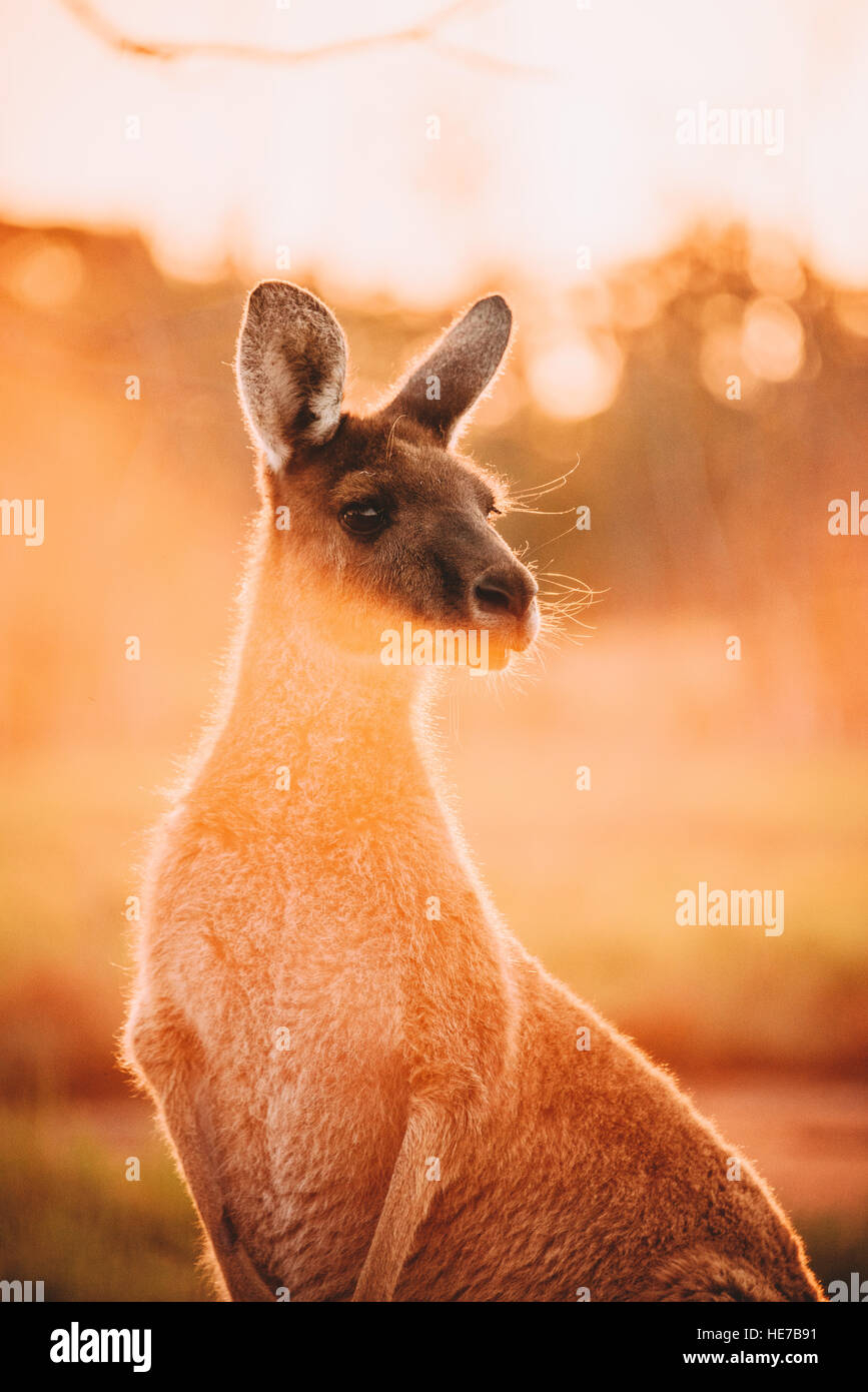 Perth heirisson island hi-res stock photography and images - Alamy