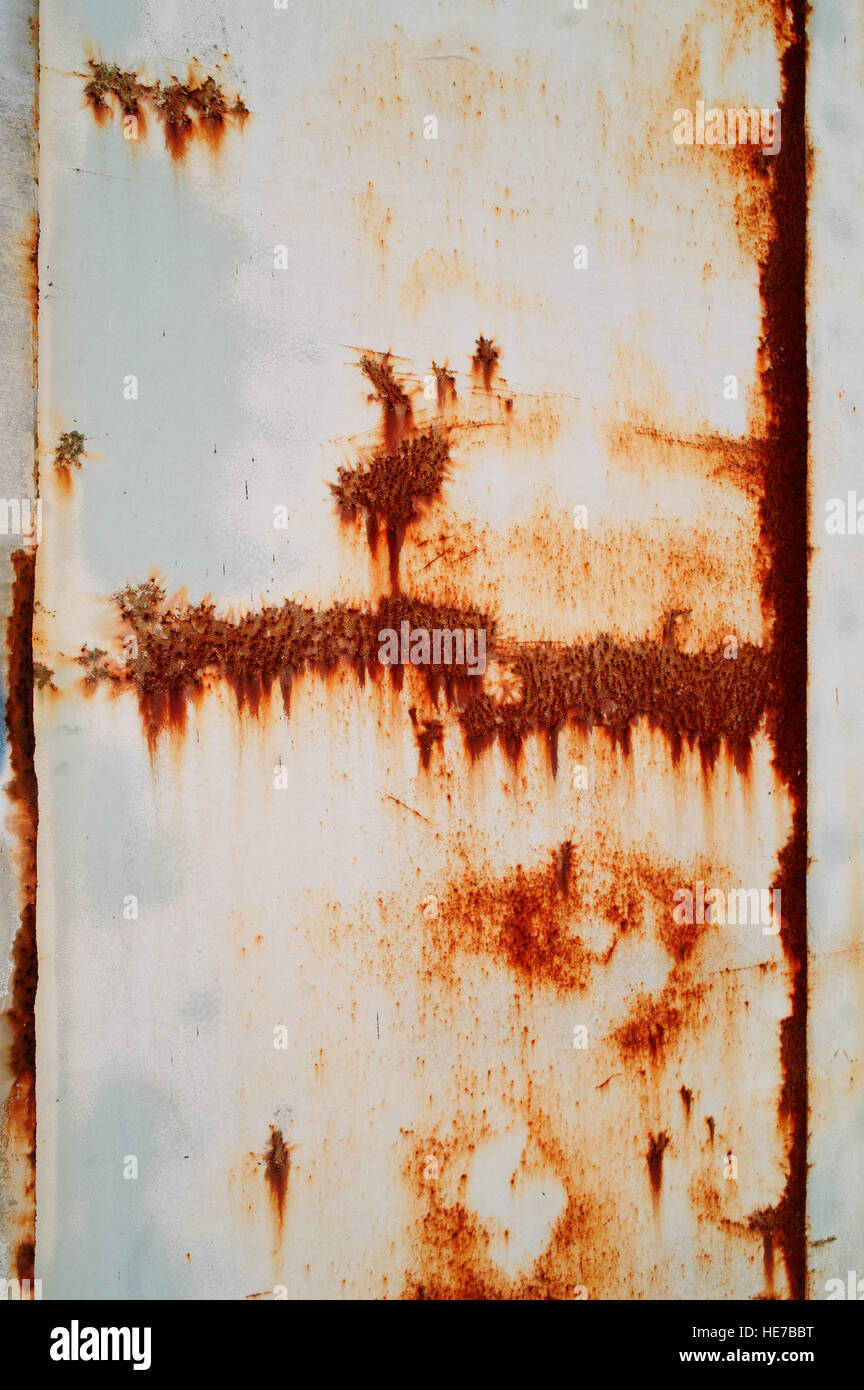 partially corroded coated sheet with a bruises Stock Photo - Alamy