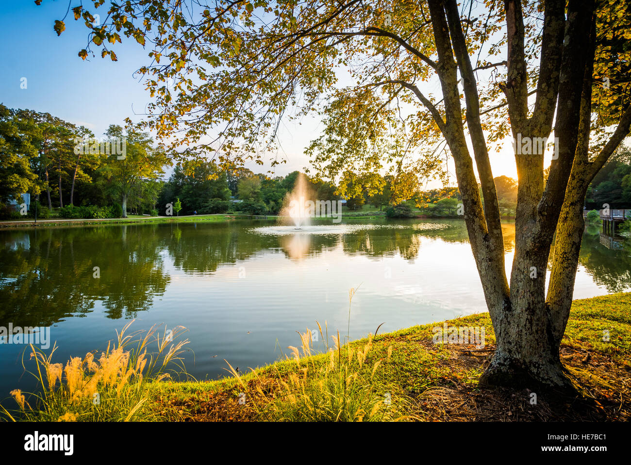 Wilson north carolina park hi-res stock photography and images - Alamy