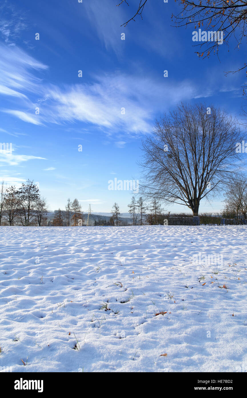 winter landscape at the cold sunny day Stock Photo - Alamy