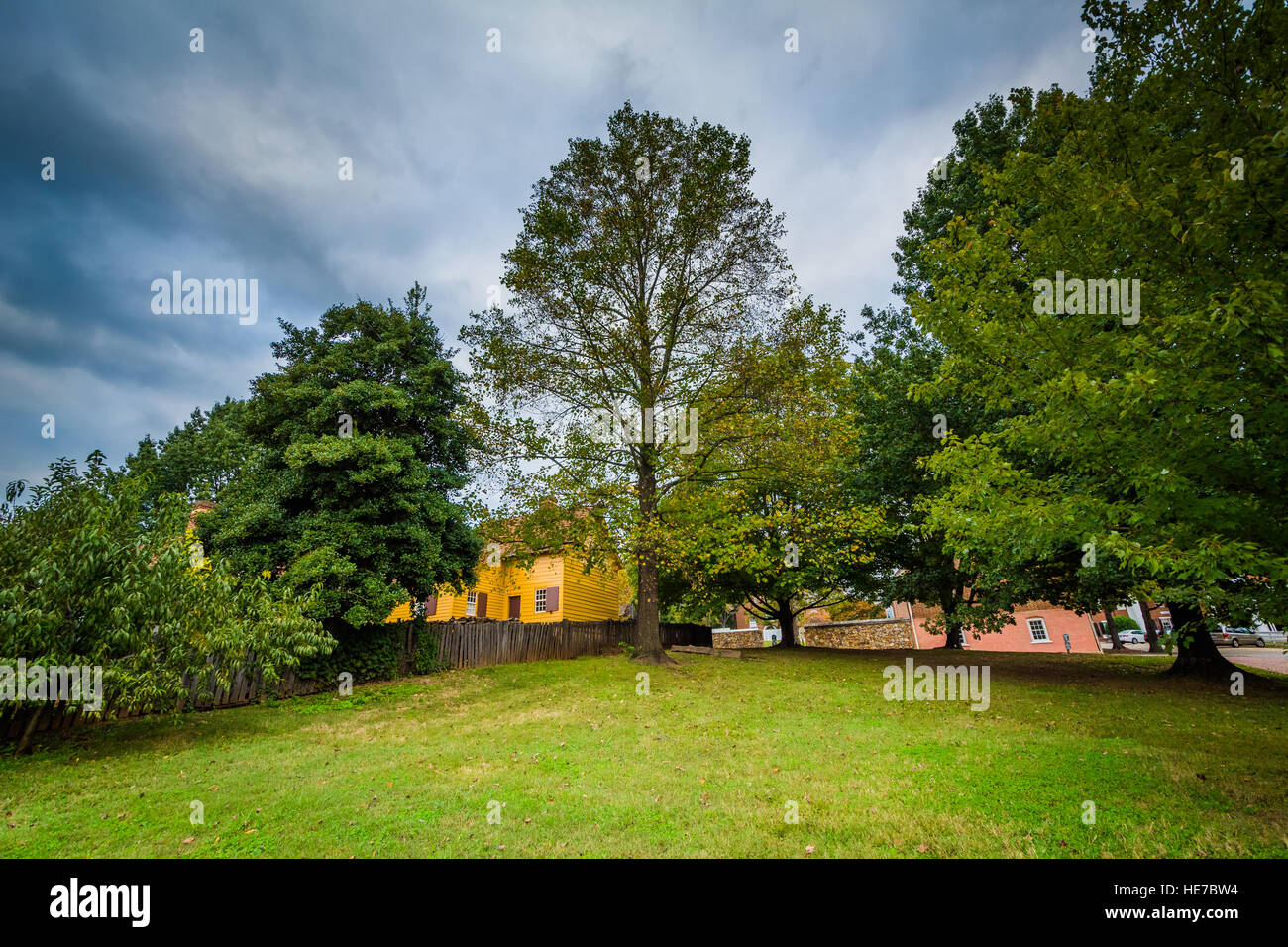 Trees in the Old Salem Historic District, in Winston-Salem, North ...