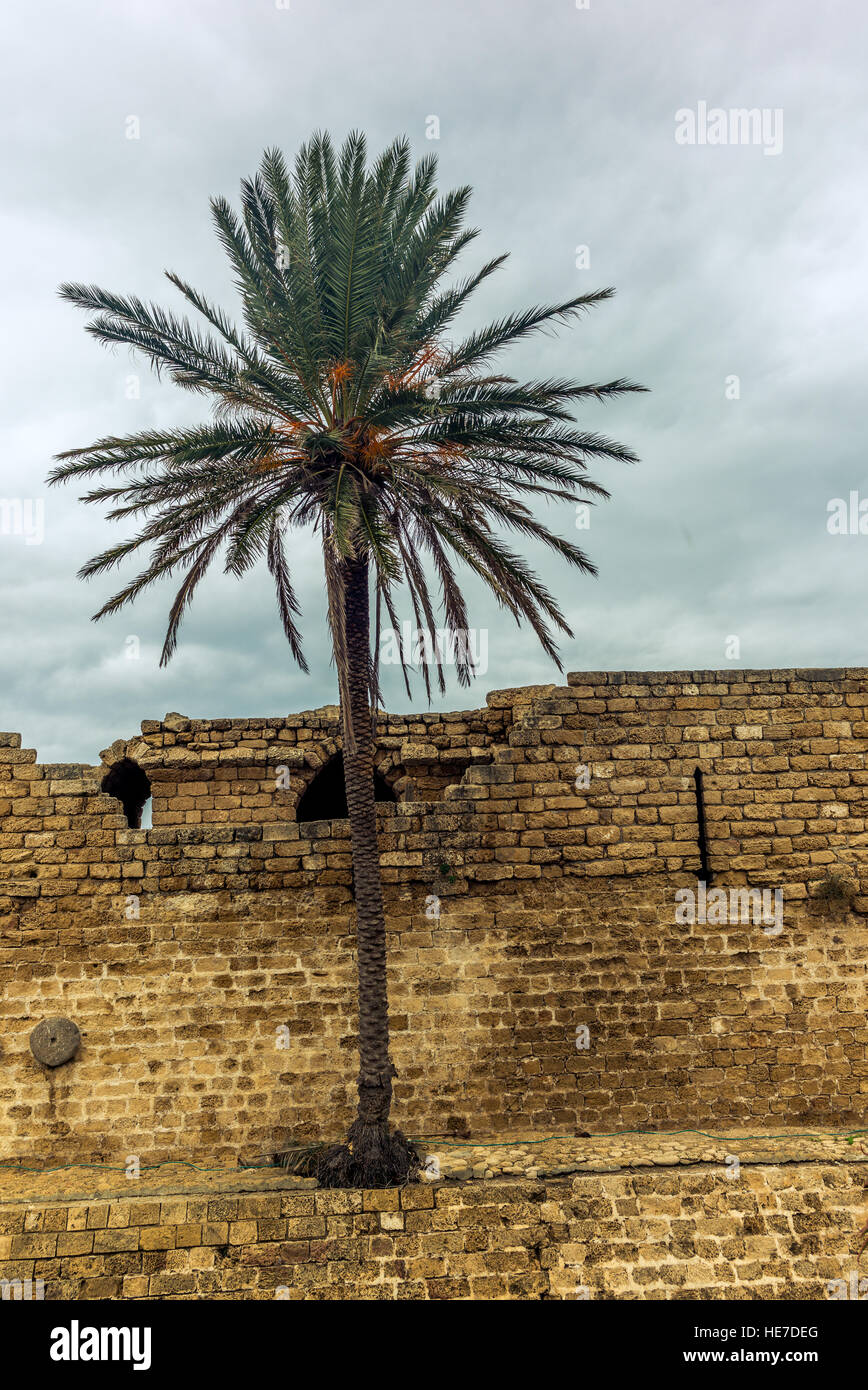 View of the Arab defense walls in Caesarea in Israel Stock Photo - Alamy