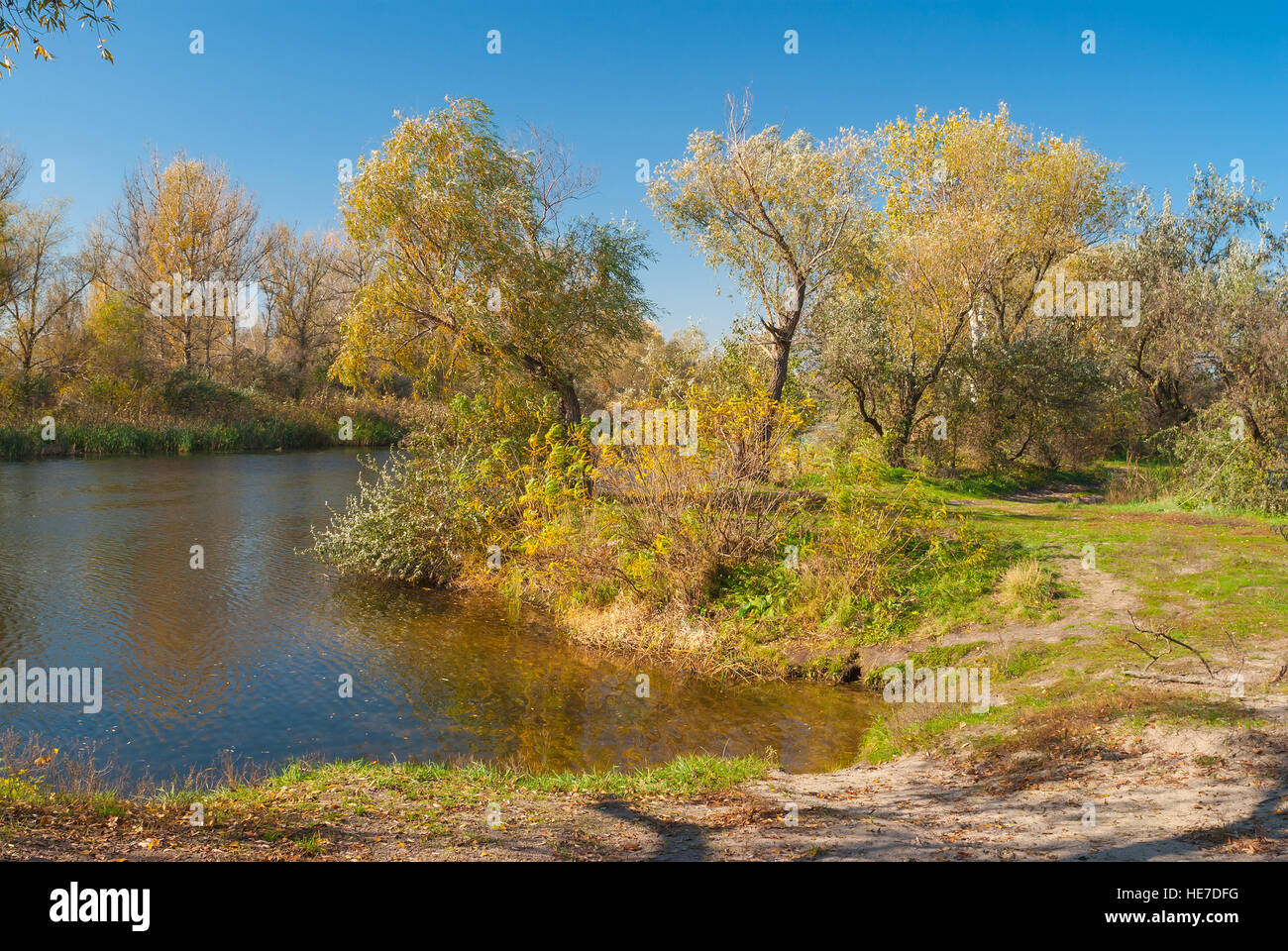 Riverside of small Ukrainian river Oril (left inflow of biggest river ...