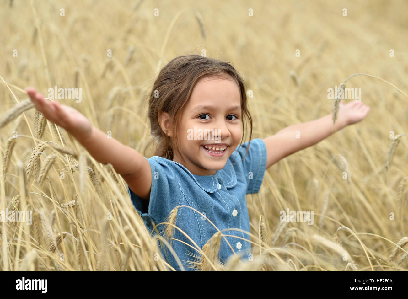 Wheat dream hi-res stock photography and images - Alamy