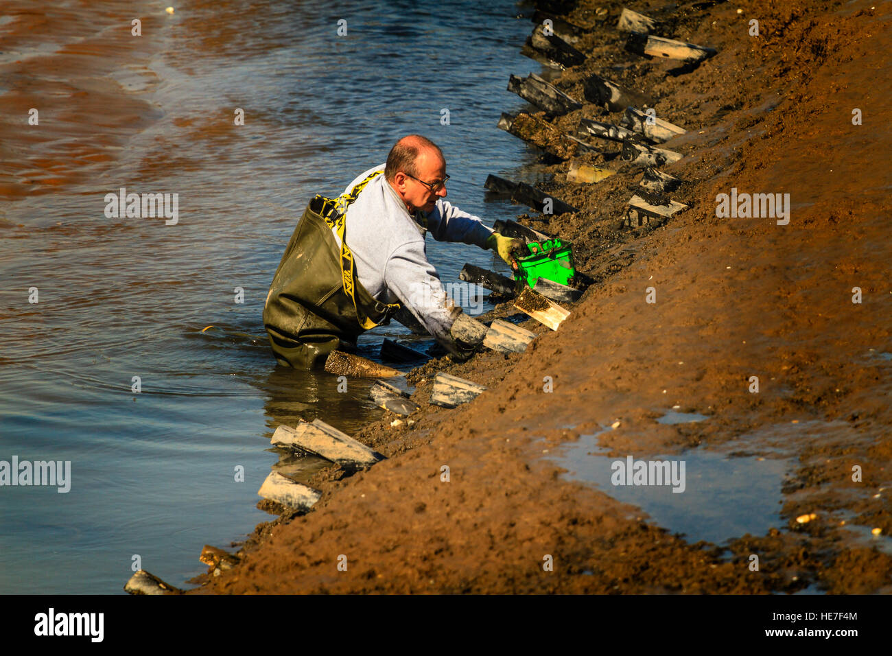 Working in water wearing waders hi-res stock photography and images - Alamy