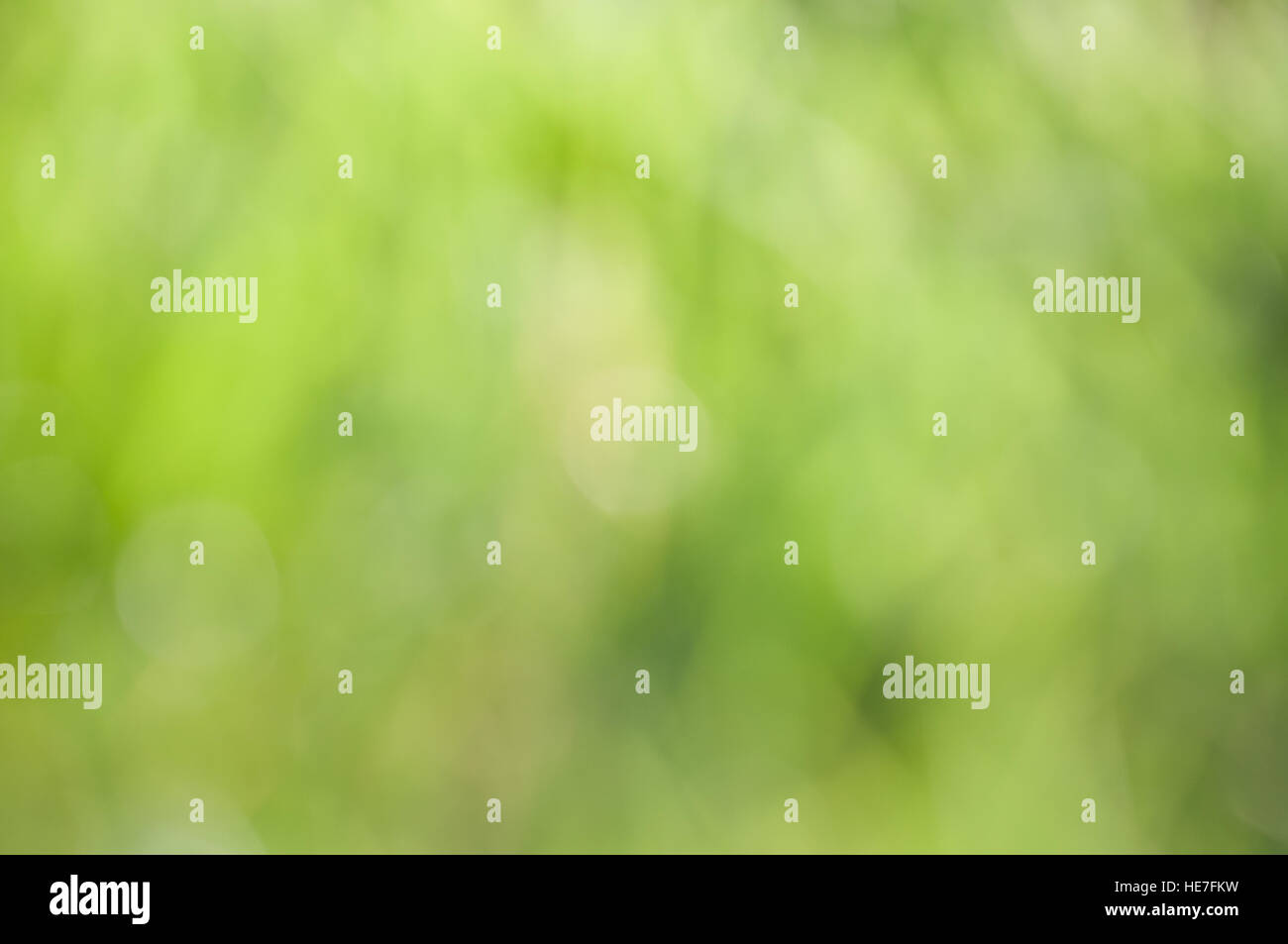 Fresh green summer and spring blur background Stock Photo - Alamy
