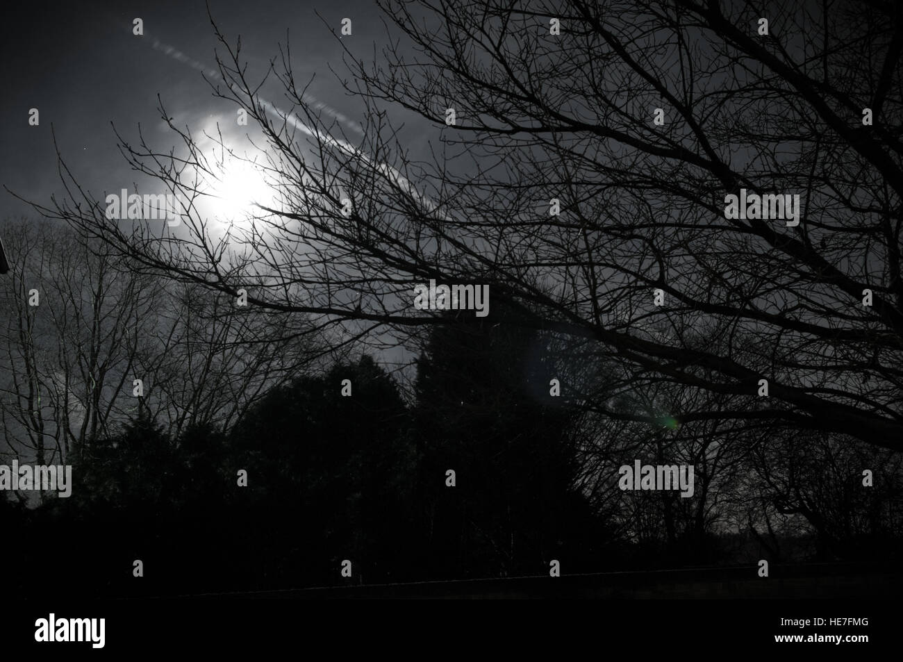 Moonlit setting hi-res stock photography and images - Alamy
