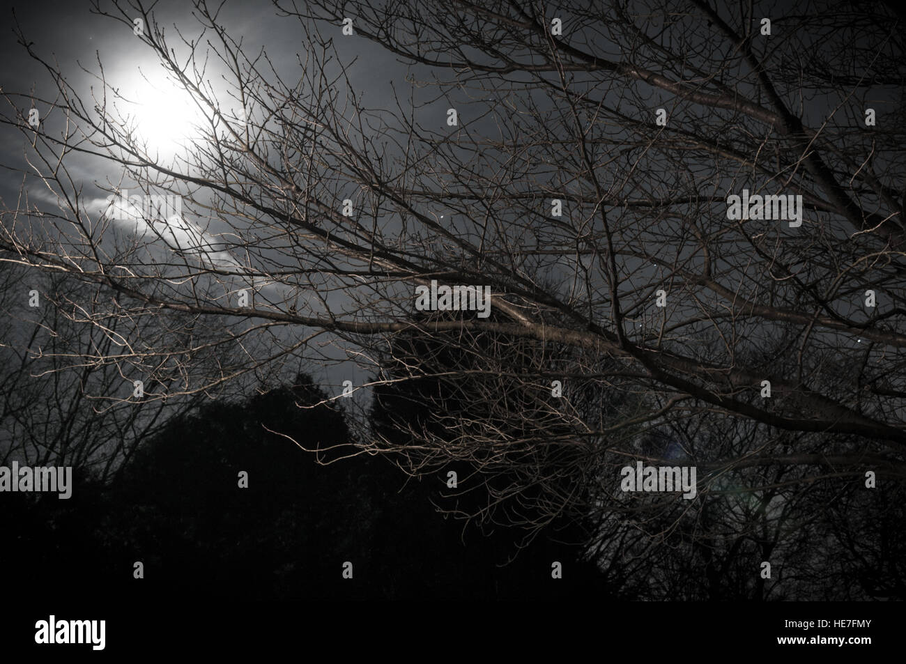 Moonlit setting hi-res stock photography and images - Alamy