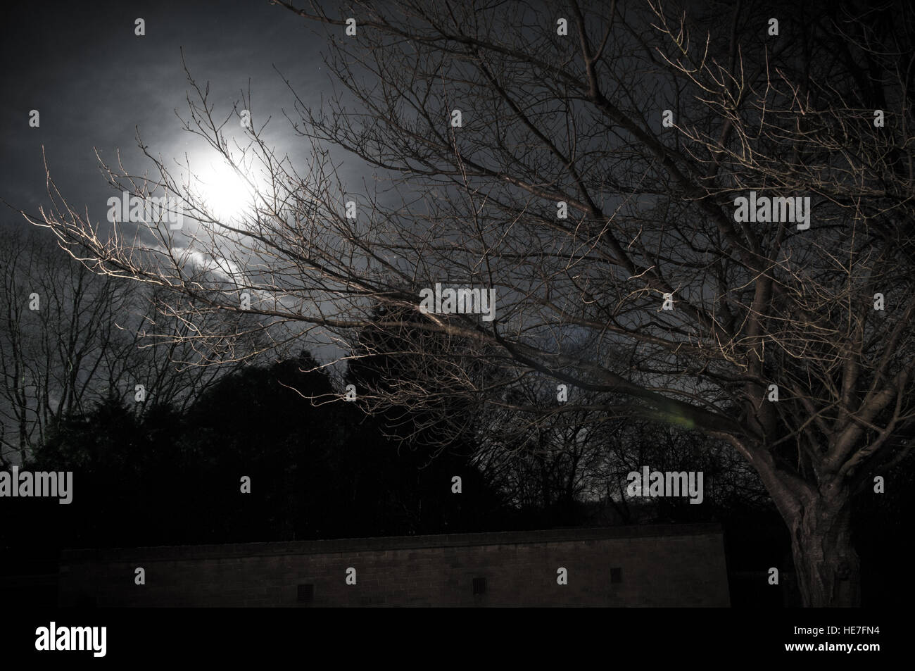 Night scene on a bright moonlit night Stock Photo - Alamy