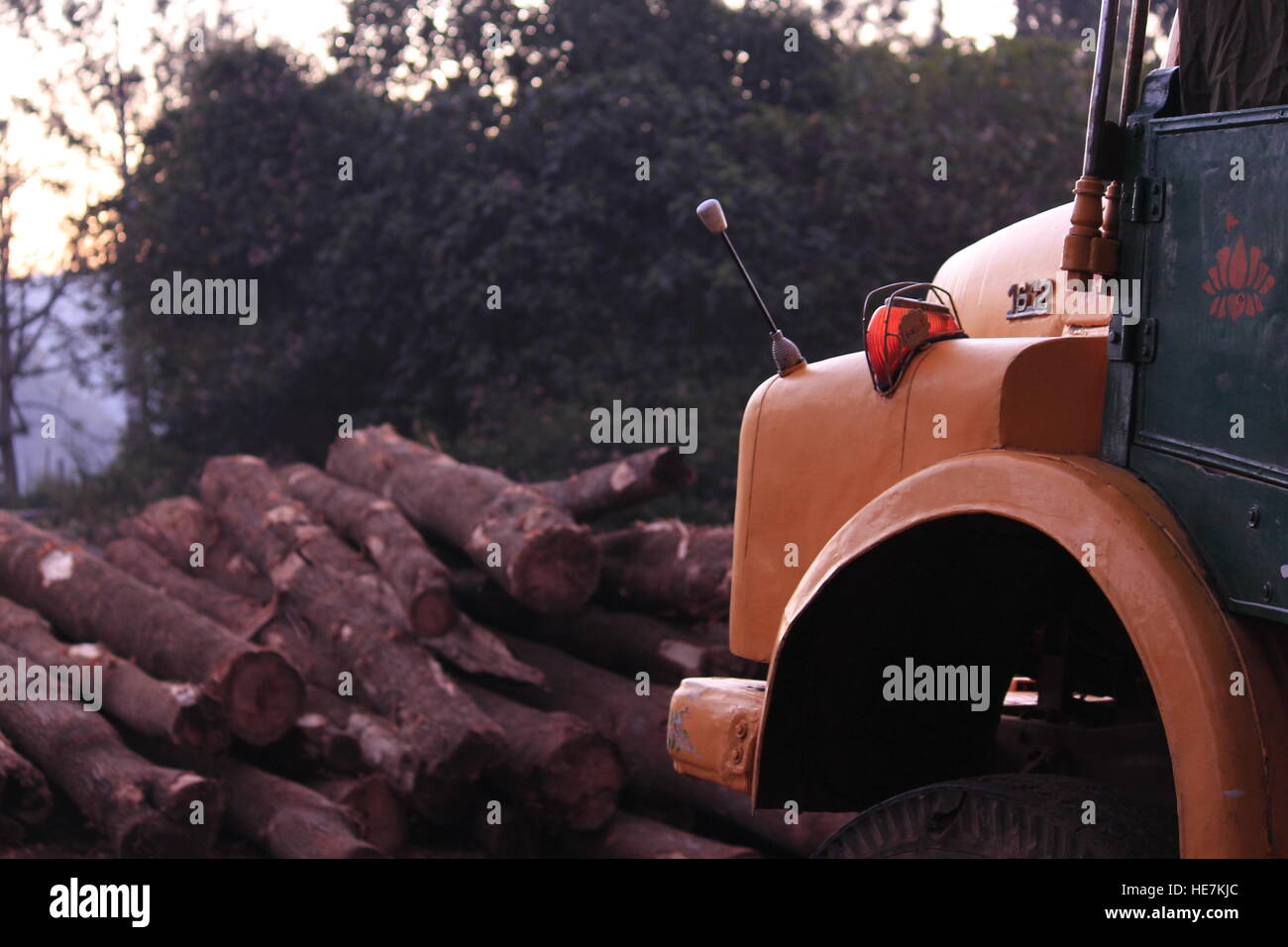 Fire truck rear driver hi-res stock photography and images - Alamy