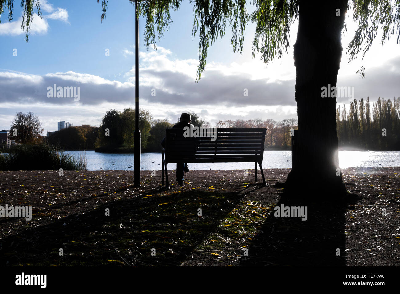 A lonely man on a bench Stock Photo - Alamy