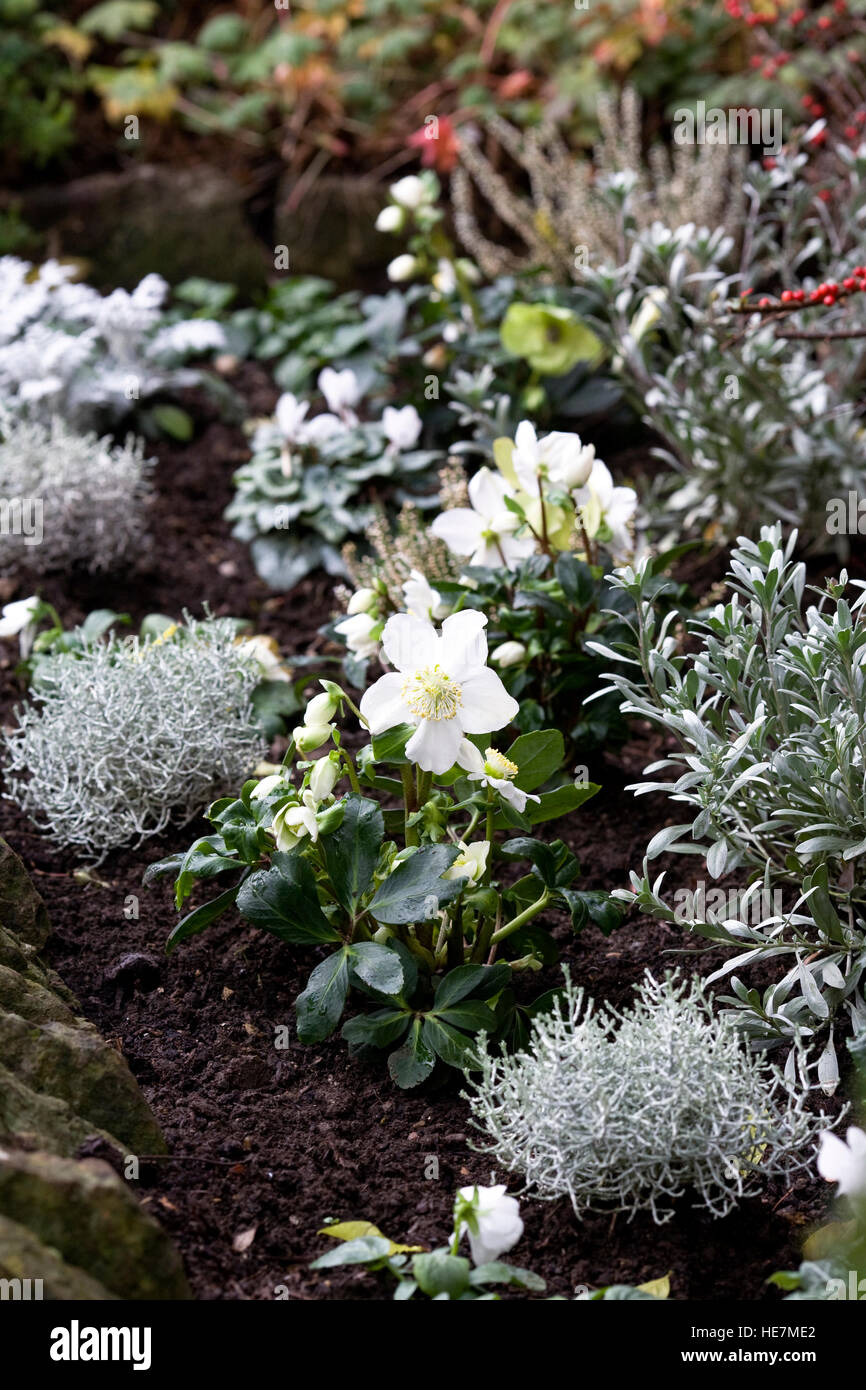Spring flower display garden hi-res stock photography and images - Alamy