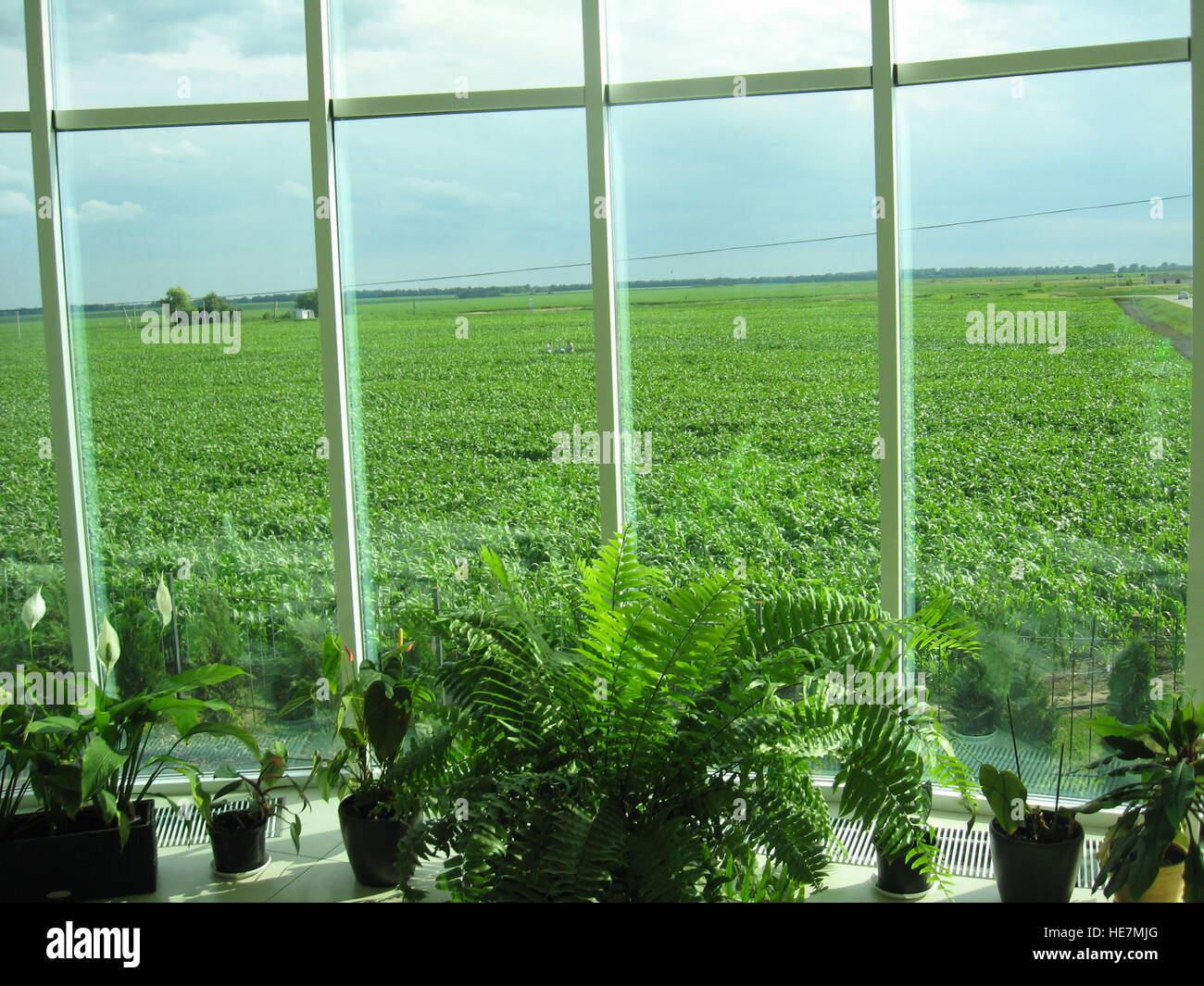 office window with a view of green agricultural field Stock Photo - Alamy